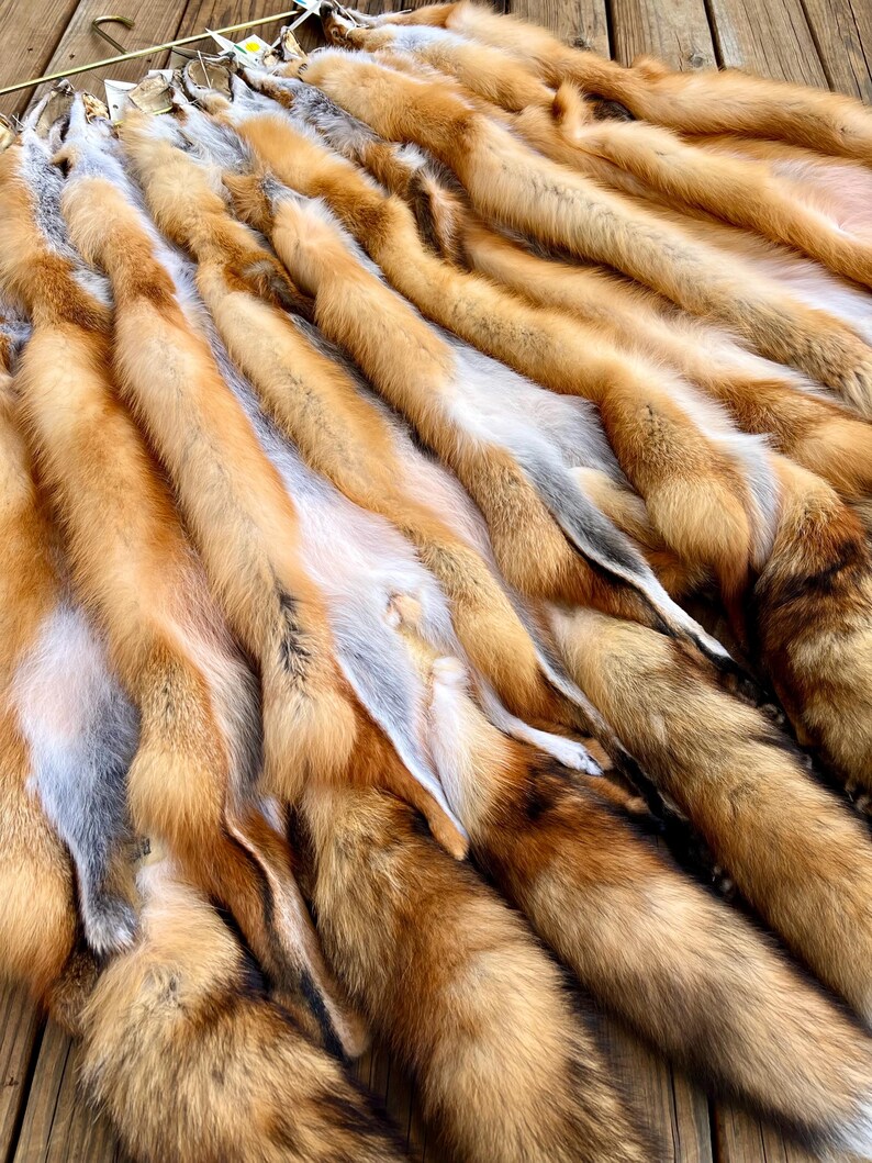 Maine Red Fox Pelt, Prime, Professionally Soft Tanned/garment Tanned - Etsy