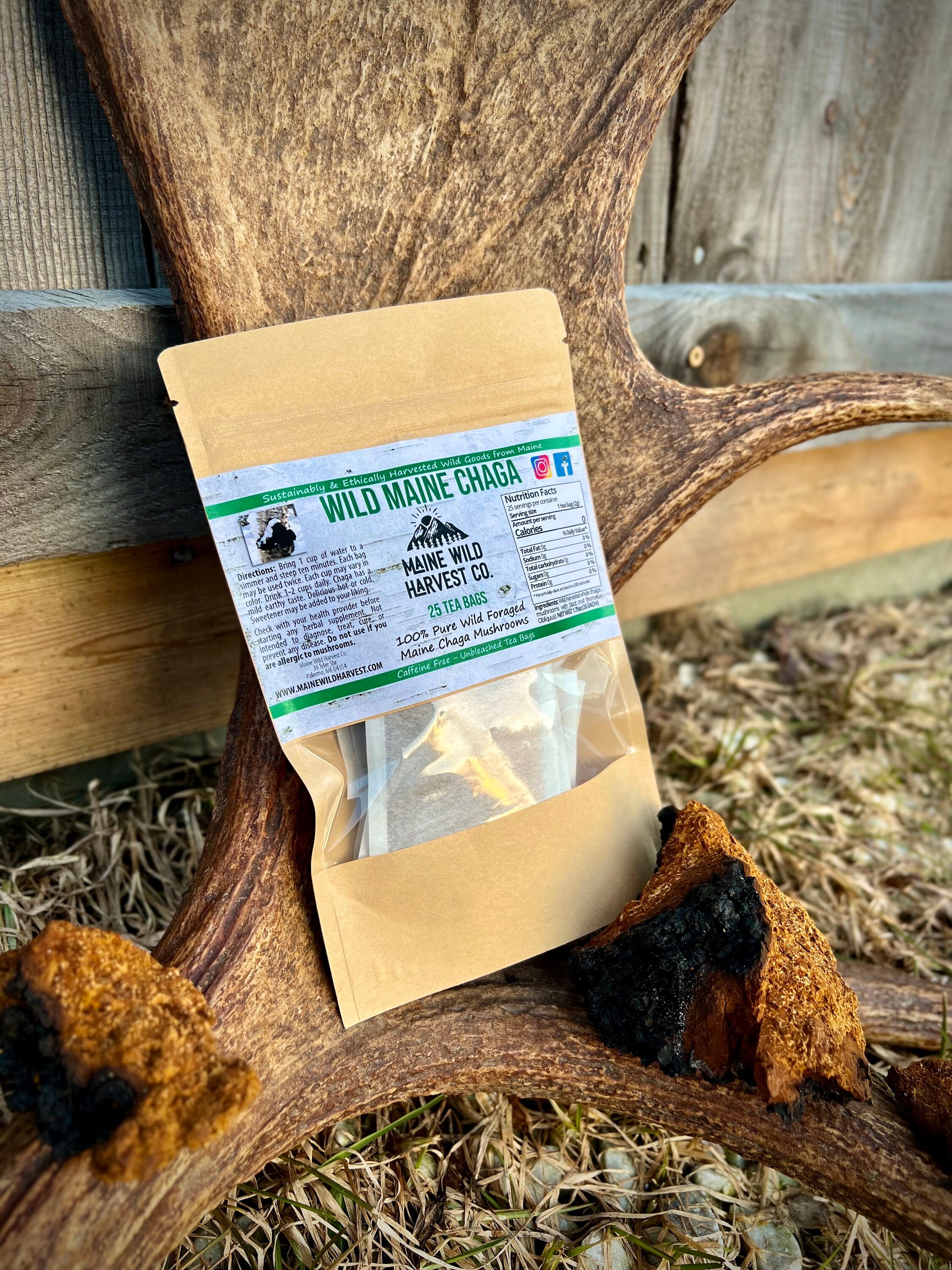 Chaga Tea Bags 25ct, Wild Harvested From Maine, All Natural Dried Chaga ...