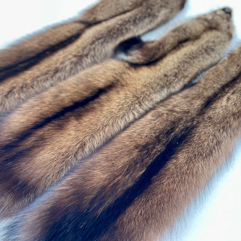 Bear Pelt - Etsy