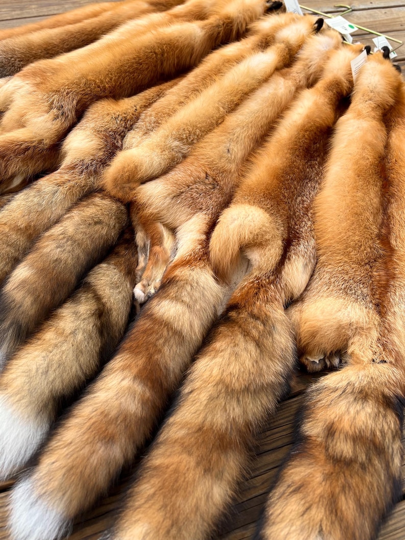 Maine Red Fox Pelt, Prime, Professionally Soft Tanned/garment Tanned - Etsy