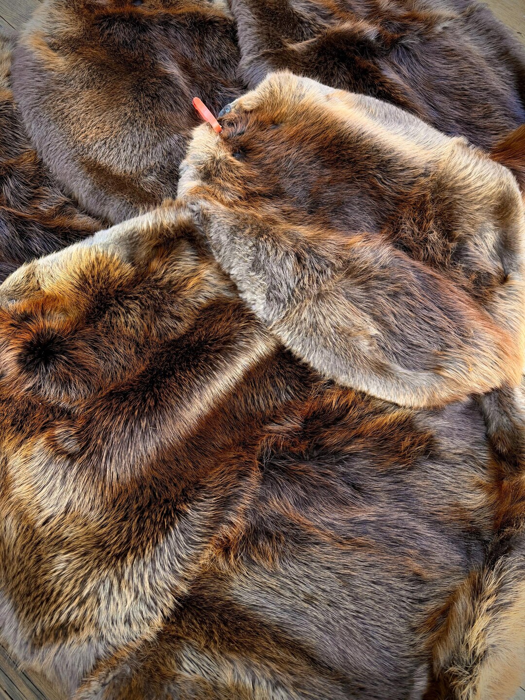 Maine Beaver Pelt, Prime Northern Heavy Beaver, Professionally Soft ...