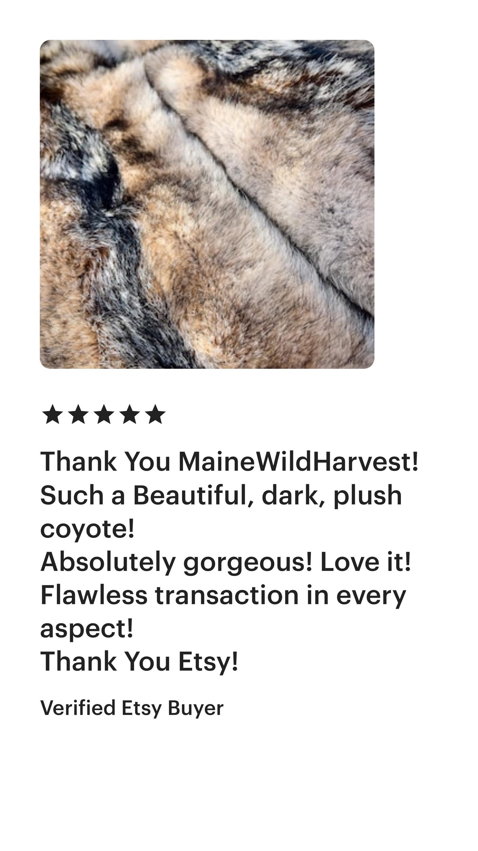 Eastern Coyote Pelt: Prime Wild Fur - Garment Grade, Professionally ...