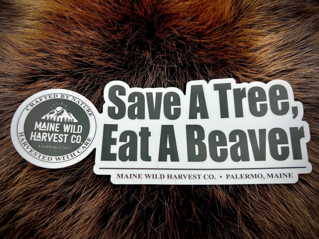 Save A Tree, Eat A Beaver Sticker - 7.5” X 3” - Etsy