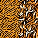 Tiger Prints, 4 Seamless Tiger Animal Print Patterns, High-resolution ...
