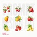 Vibrant JPG Fruit Clipart Bundle | Perfect for Crafts - Unique Teacher ...