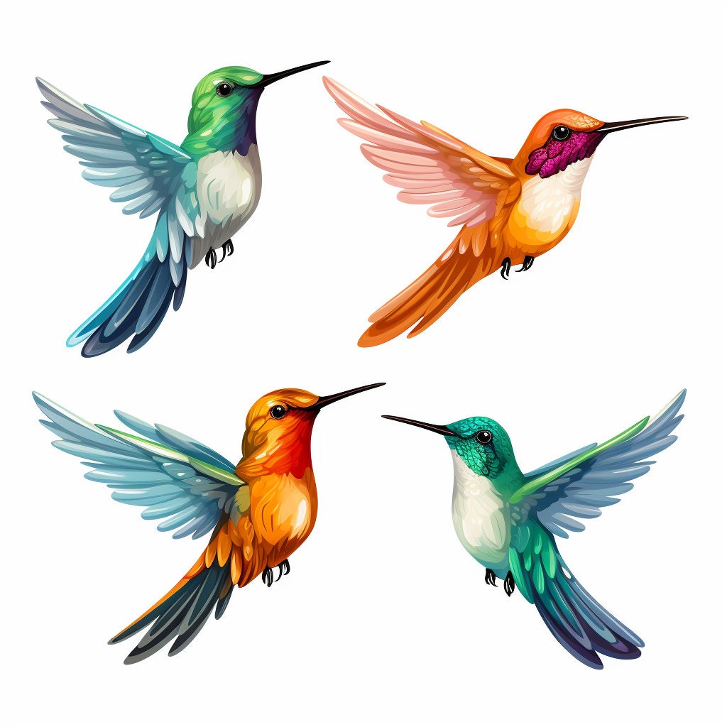 34 Hummingbird Bundle Svg Color / Hummingbird Clip Art SVG ...