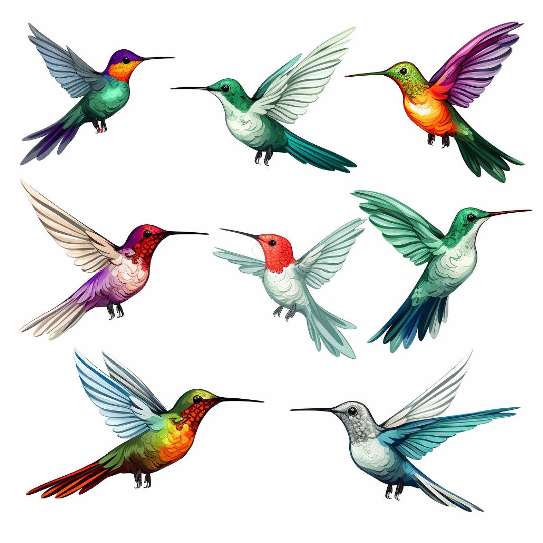 34 Hummingbird Bundle Svg Color / Hummingbird Clip Art SVG ...