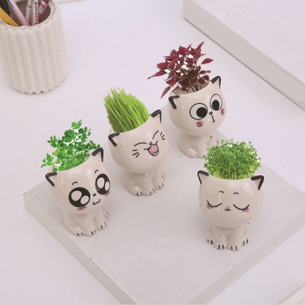 Cat Pot - Etsy