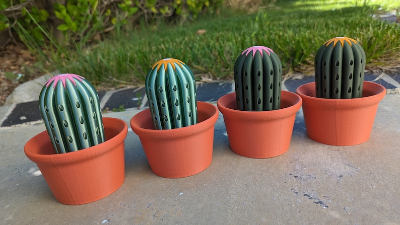 Cactus Toothpick Holder - Etsy