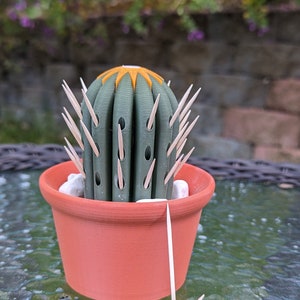 Cactus Toothpick Holder - Etsy