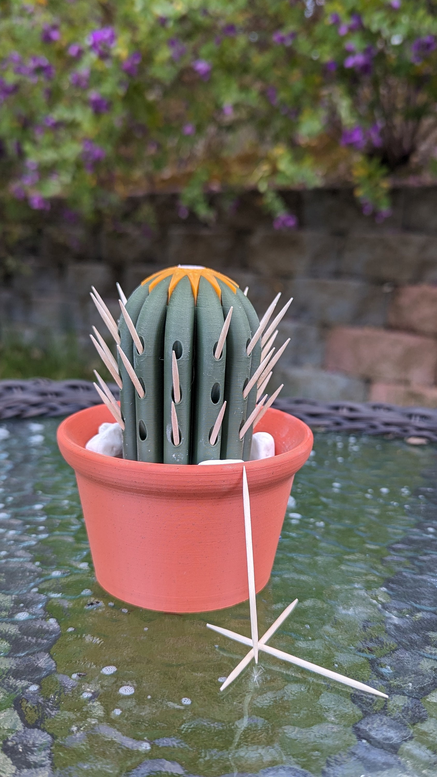 Cactus Toothpick Holder - Etsy