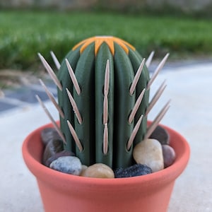 Cactus Toothpick Holder - Etsy