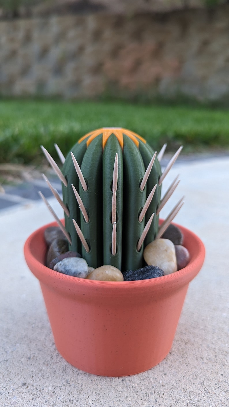 Cactus Toothpick Holder - Etsy