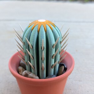 Cactus Toothpick Holder - Etsy