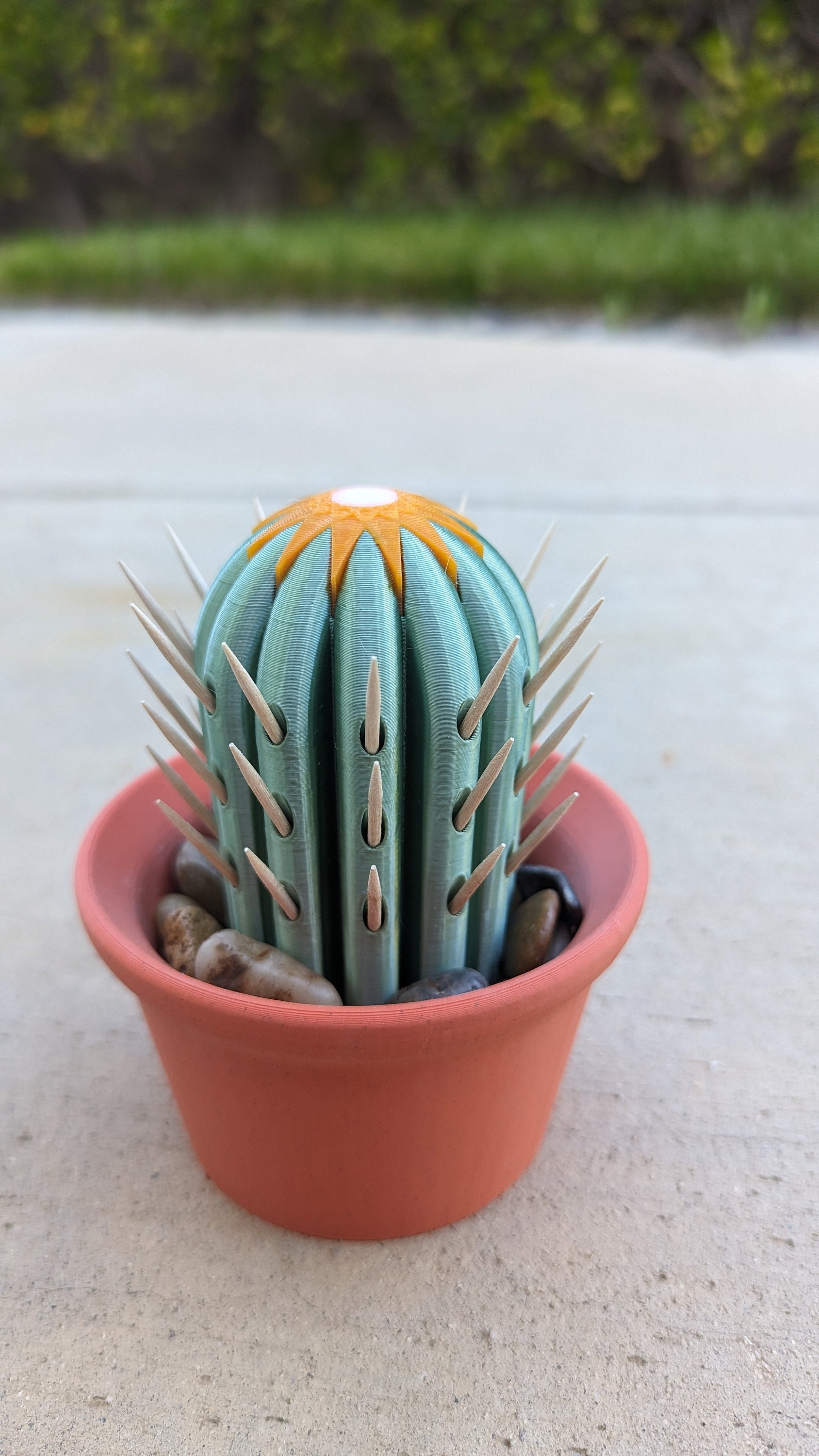 Cactus Toothpick Holder - Etsy