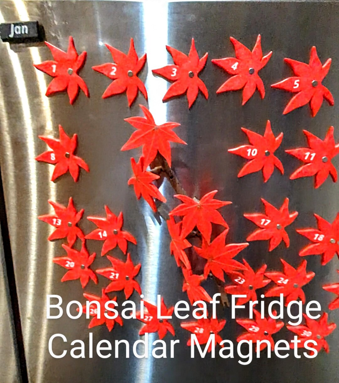 Bonsai Leaf Fridge Magnet Calendar With Articulating English Ivy Vine ...