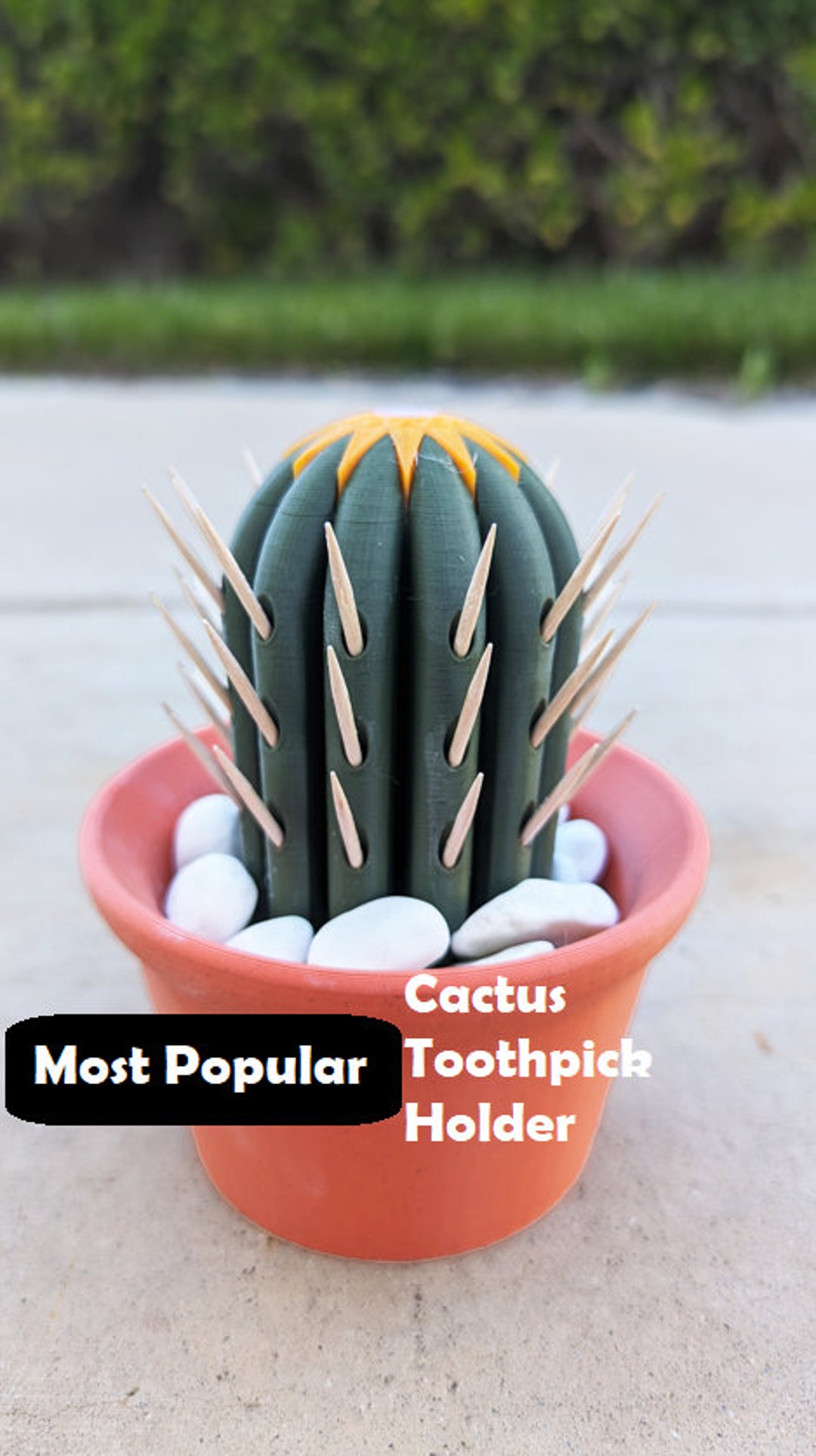 Cactus Toothpick Holder - Etsy