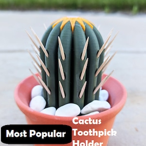 Cactus Toothpick Holder - Etsy