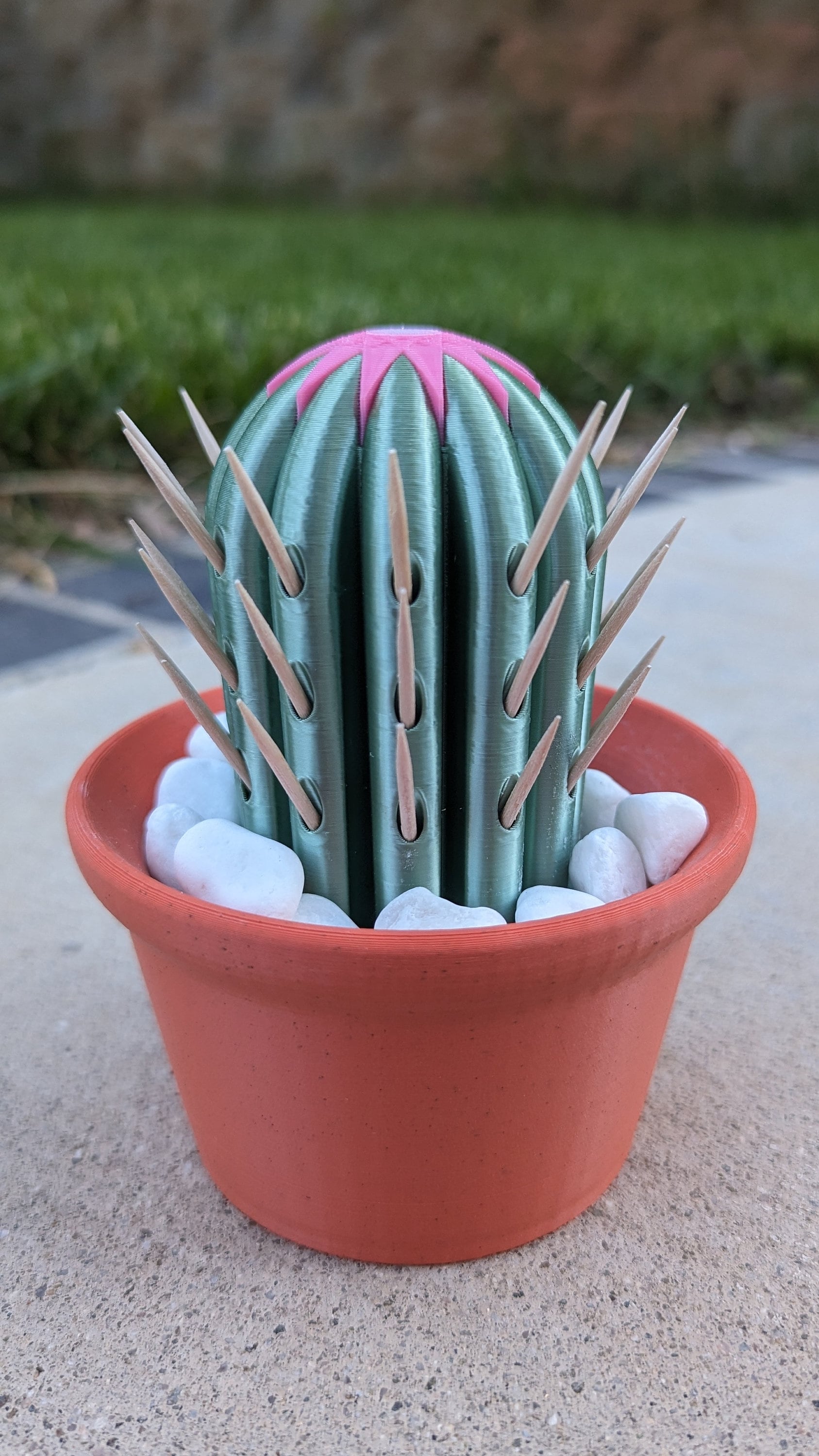 Cactus Toothpick Holder - Etsy