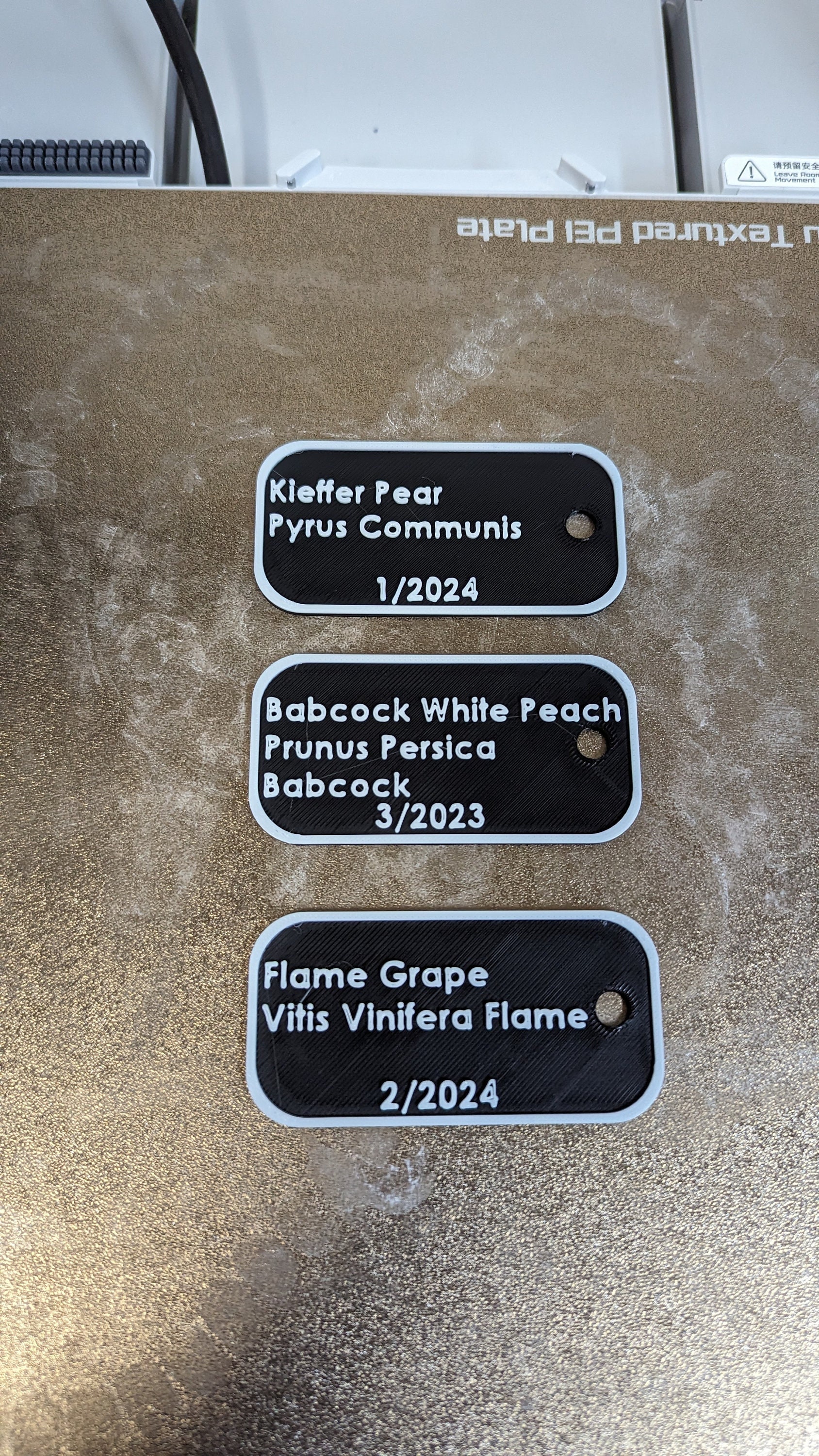 Custom Tree Identification Tag - Etsy