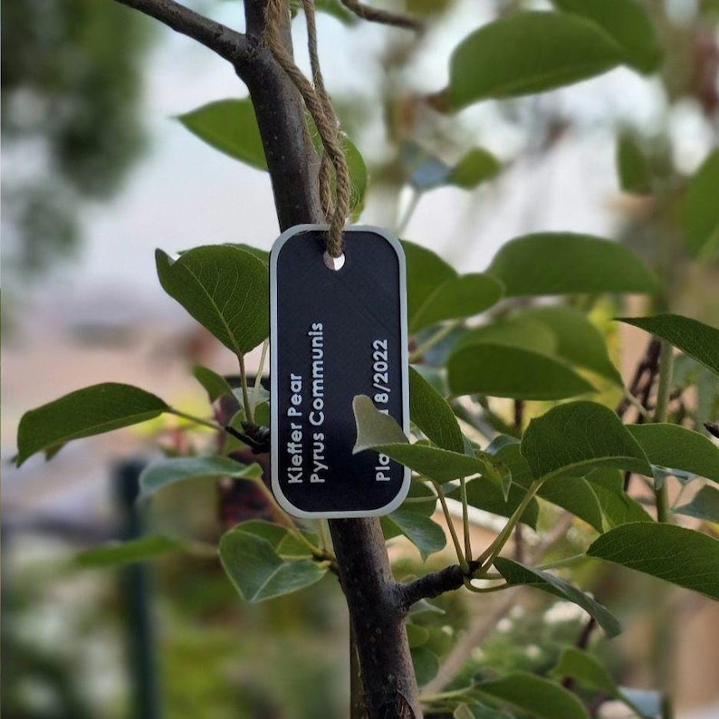 Custom Tree Identification Tag - Etsy