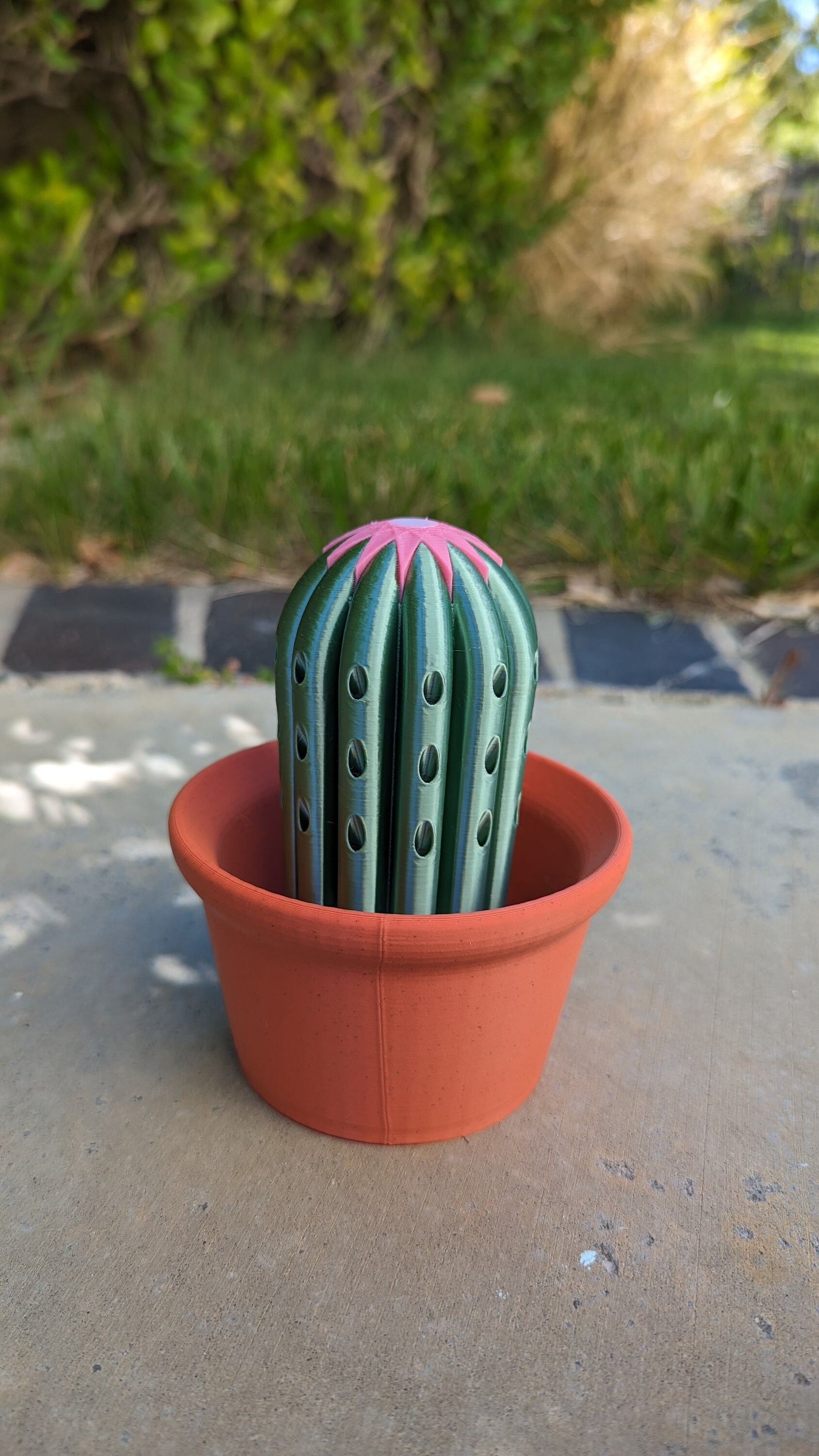 Cactus Toothpick Holder - Etsy