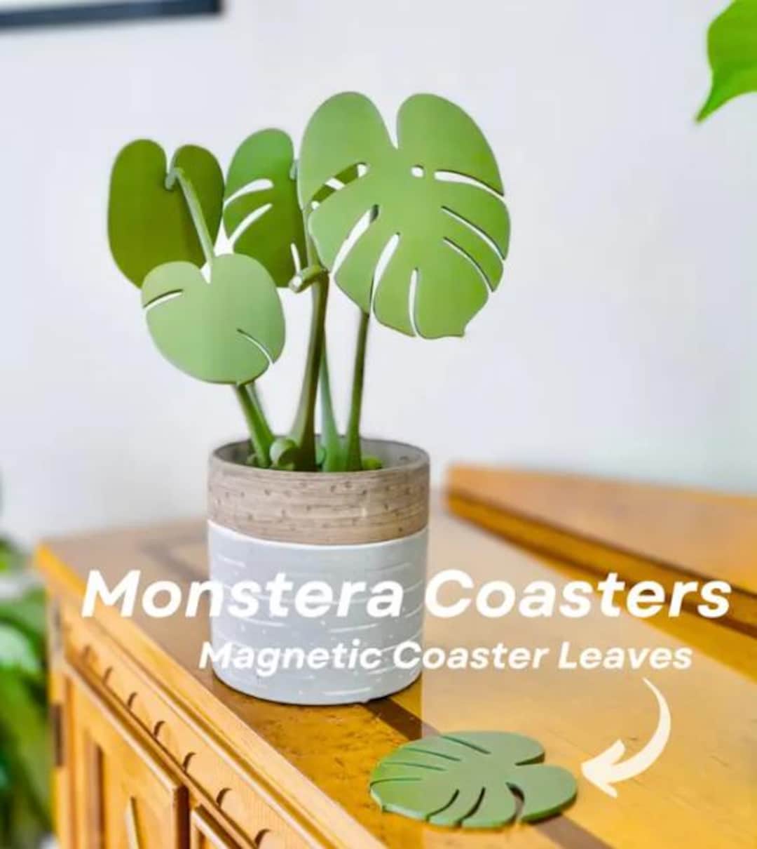 Monstera Coaster Set - 3D Printed Coaster Plant With Magnetic Leaves ...