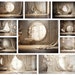 Opulent Floral Drapery Backdrops: High-res PNG/JPG for Canva, Photoshop ...