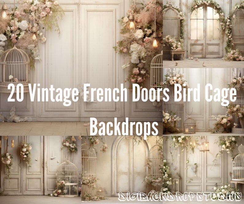 Vintage French Doors, Bird Cage Digital Backdrops – Fine Art ...