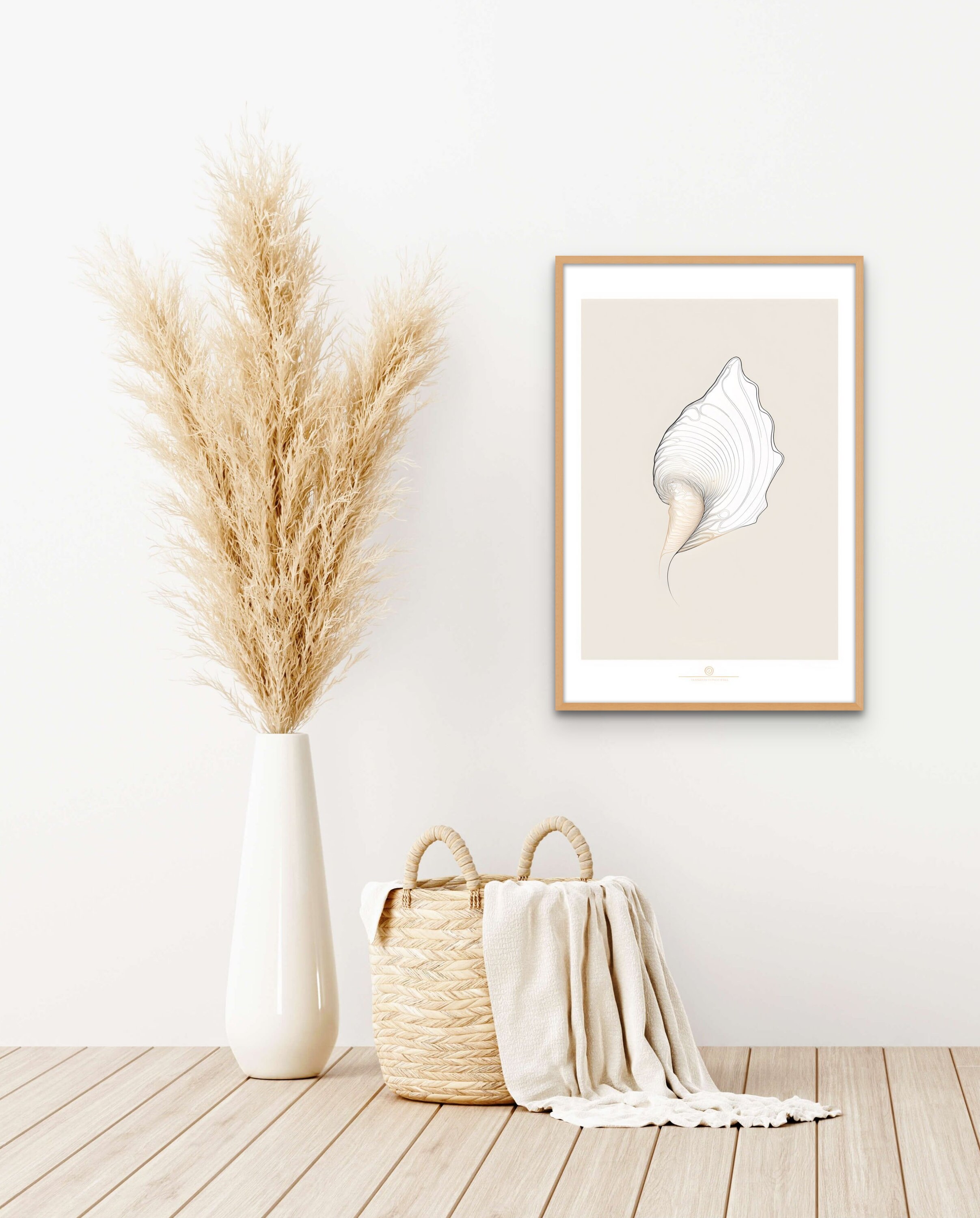 Shells Set of Three Wall Art, Printable Wall Art, Digital Prints ...