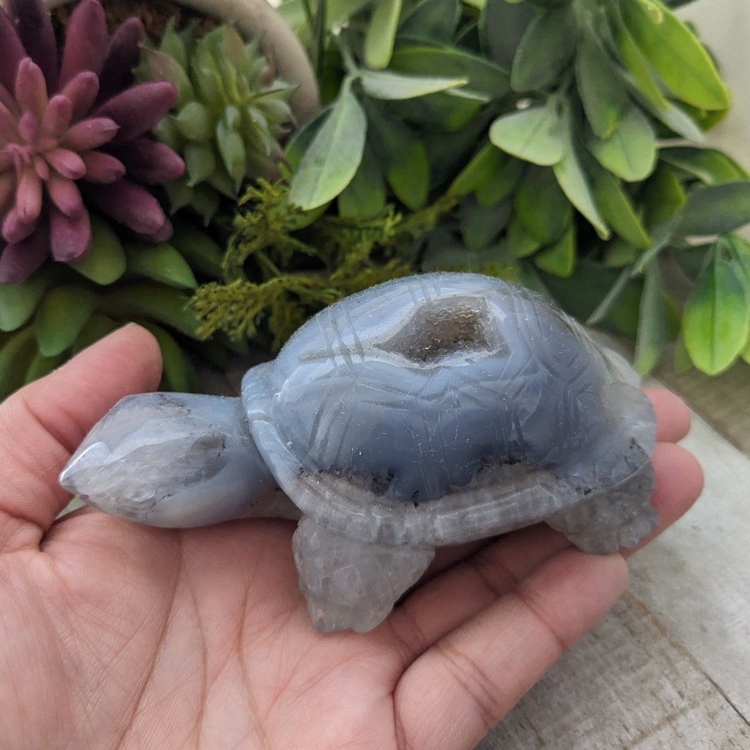 Beautiful Druzy Agate Turtle Crystal Carving Crystal Carving - Etsy