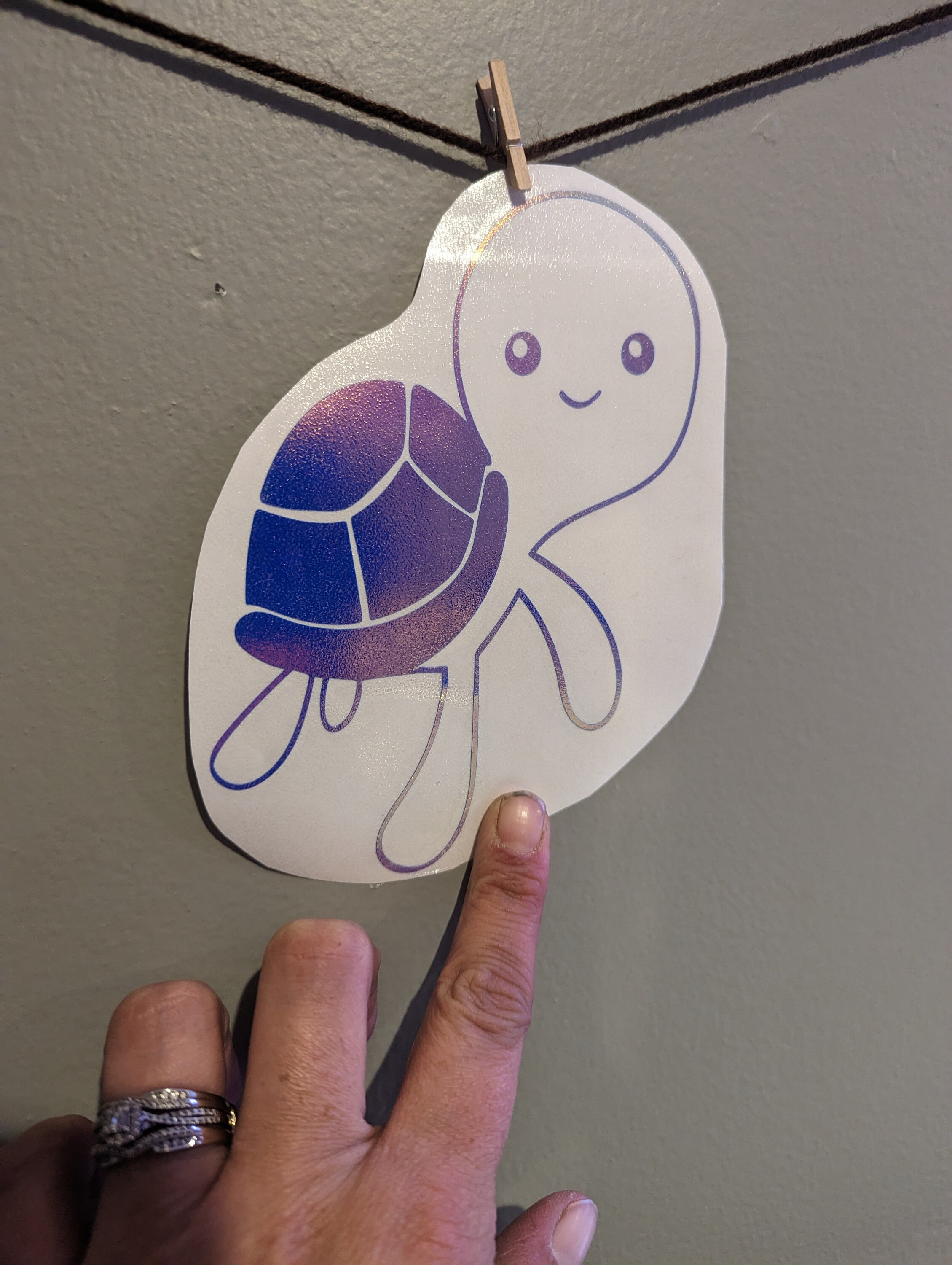 Turtle Window Decal - Etsy