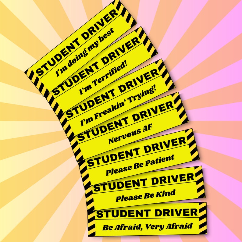 Crazy Parent Co-pilot: Hilarious Student Driver Bumper Sticker Fun ...