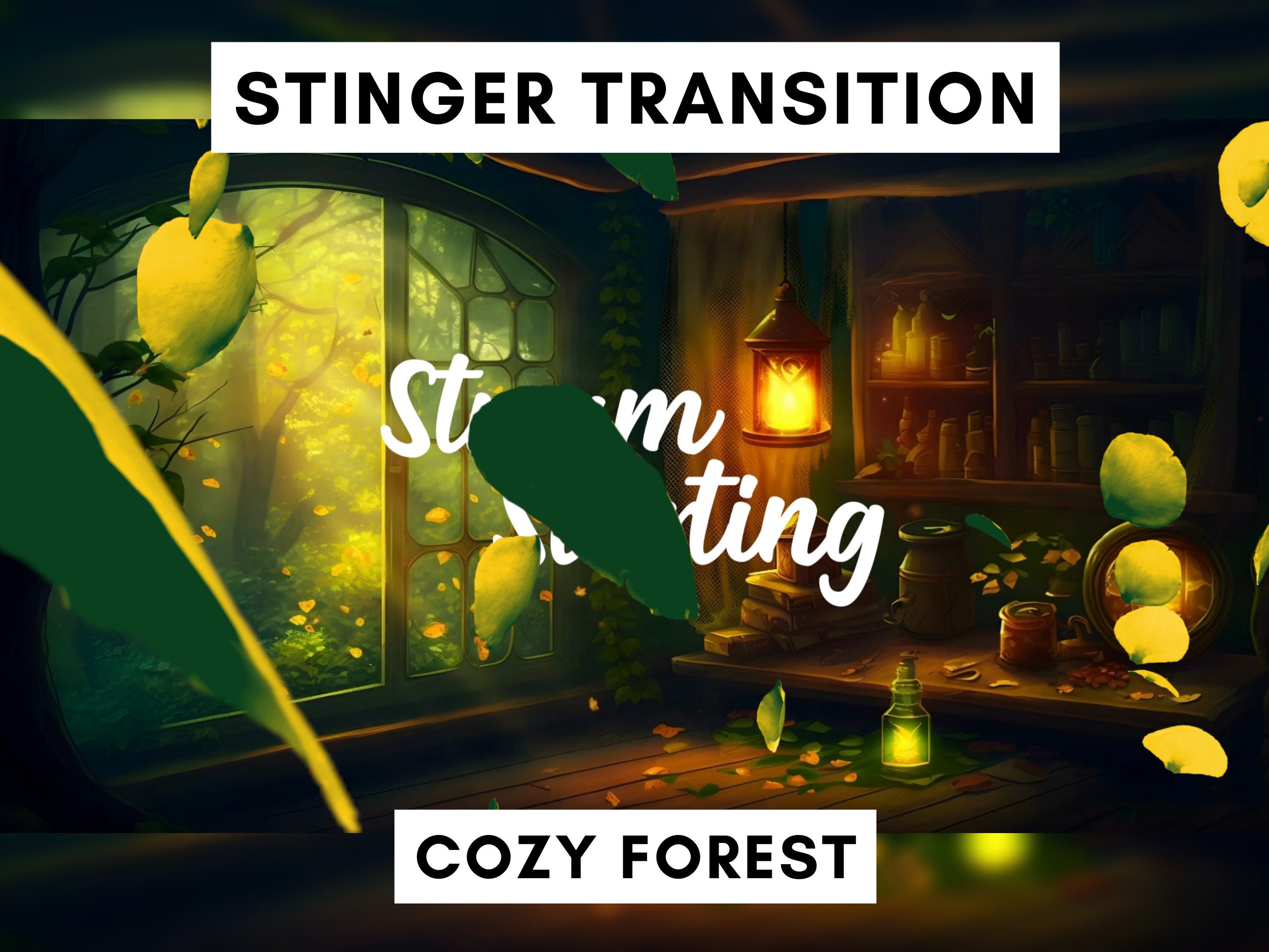 Forest Stinger Transition, Leaves Transition for Twitch, OBS Stinger, Animated Scene Transition ...