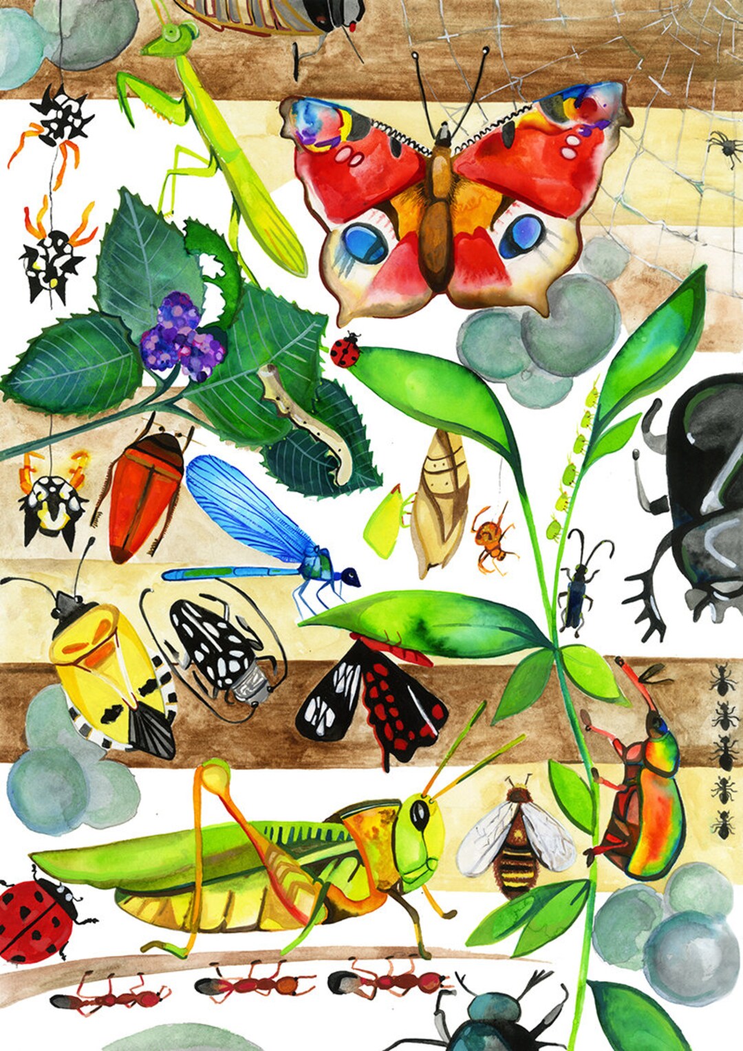 Bugs and Insects Watercolour Fine Art Print - Etsy