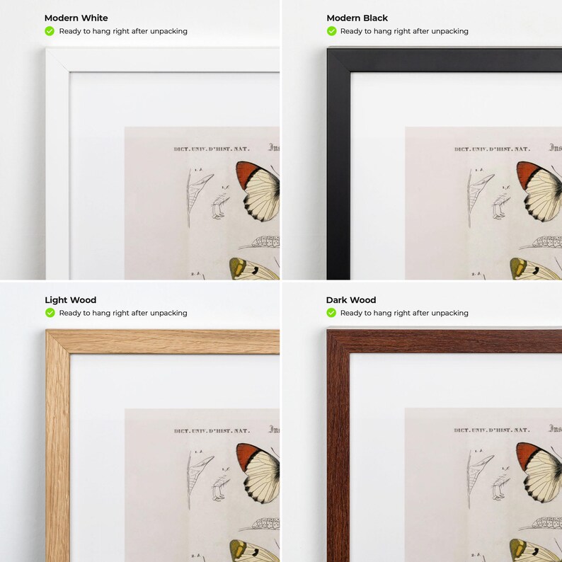 Lámina enmarcada de mariposa vintage – Arte mural de insectos estilo ...