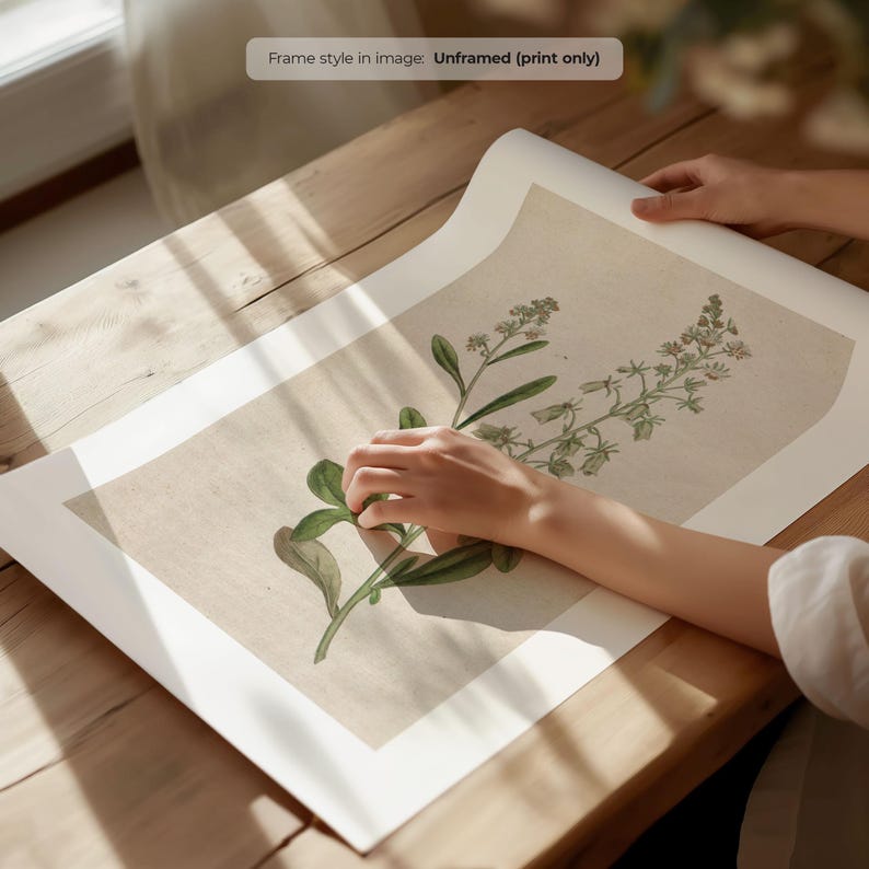 Framed Botanical Print Set of 3 – Antique Flower Illustrations - Etsy