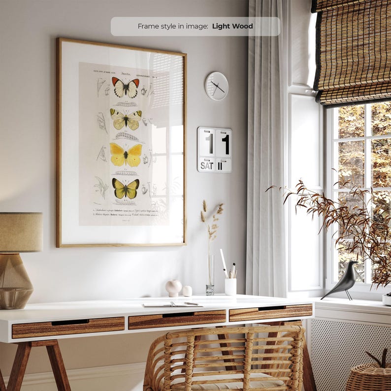 Lámina enmarcada de mariposa vintage – Arte mural de insectos estilo ...