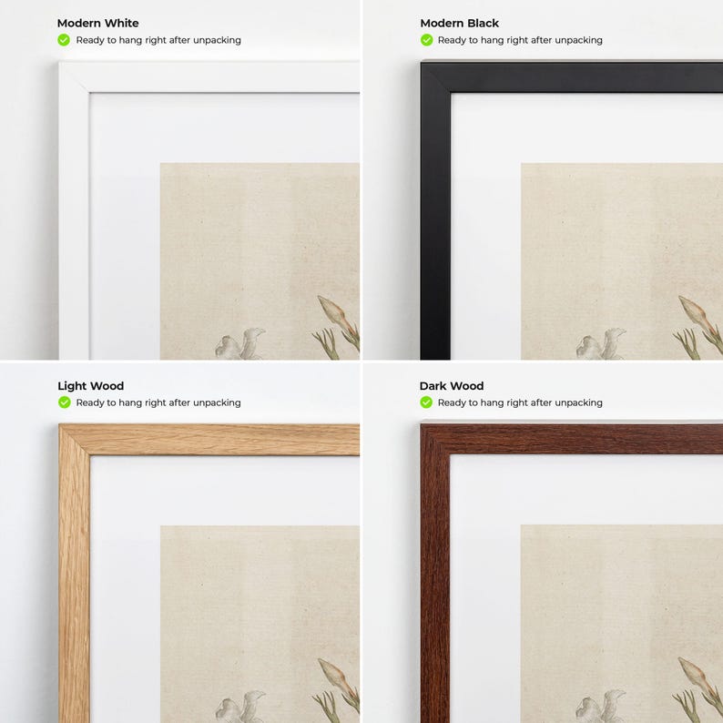 Framed Botanical Print Set of 3 – Antique Flower Illustrations - Etsy