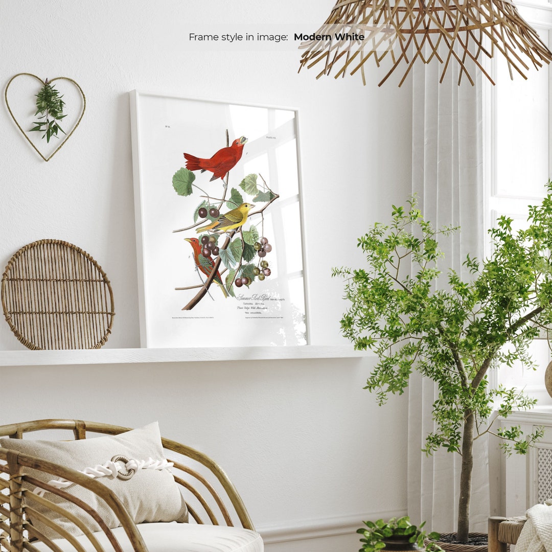 Summer Red Bird - Vintage Bird Poster | Framed Farmhouse Wall Art ...