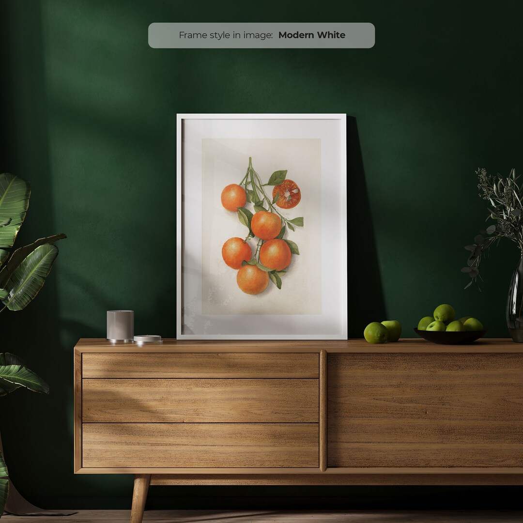 Vintage Tangerine Branch Print - Botanical Fruit Illustration, Framed ...