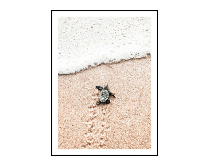 Baby Sea Turtle Graphite Drawing Print A3 A4 A5 Signed by Artist Animal ...