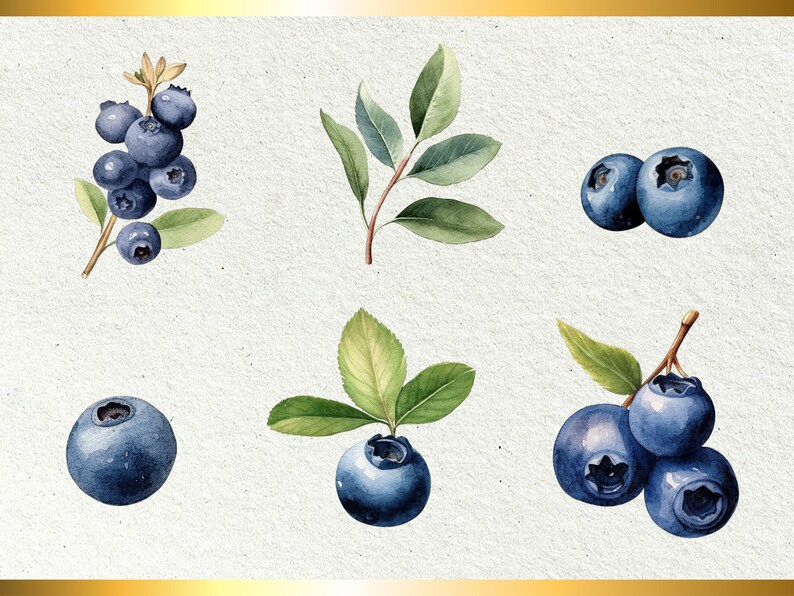 30 Adorable Blueberry Cliparts - Perfect for DIY Crafts, Sublimation ...