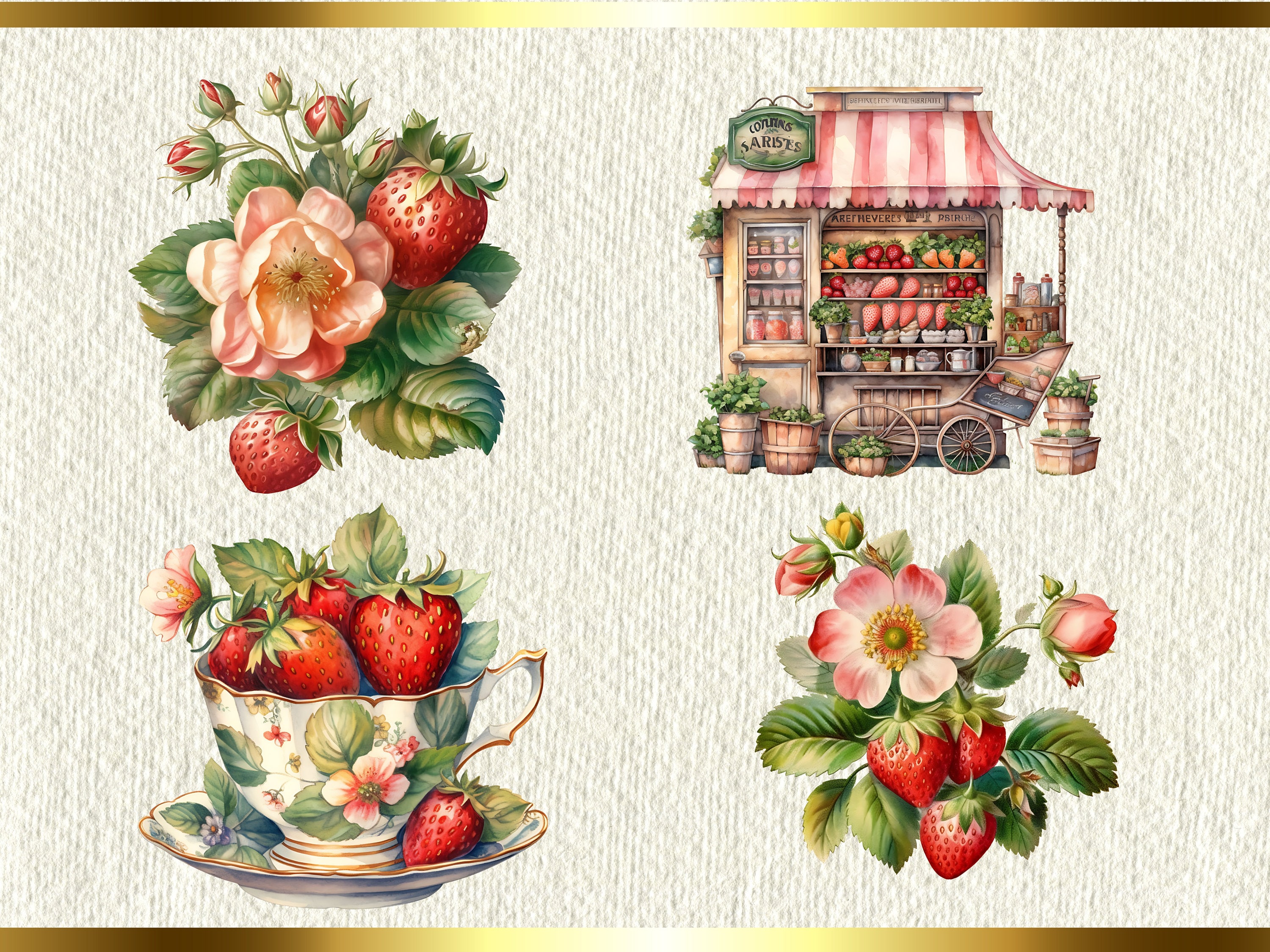 Vintage Strawberry Clipart Set 25 Watercolor Old-time Style ...