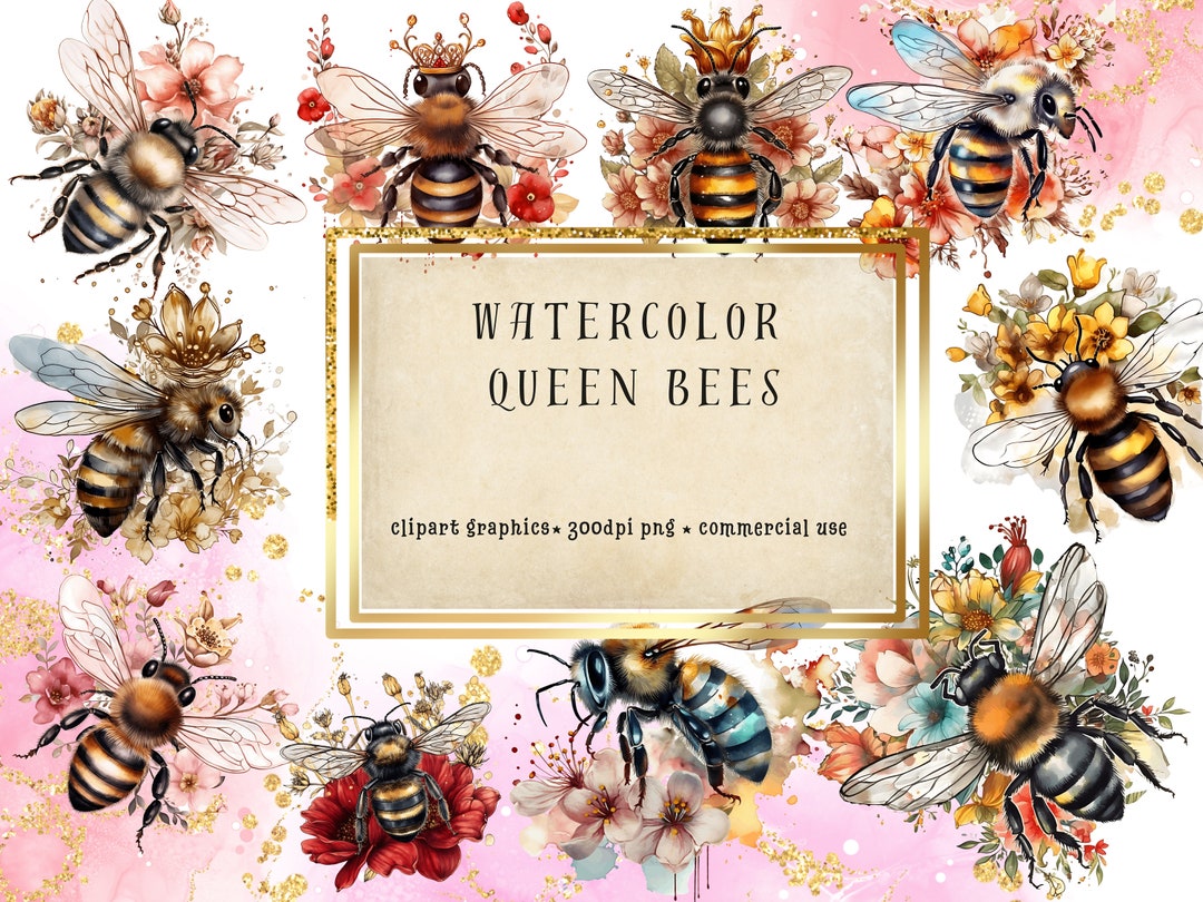 Watercolor Queen Bee Clipart Set 10 High-quality PNG Images - Etsy