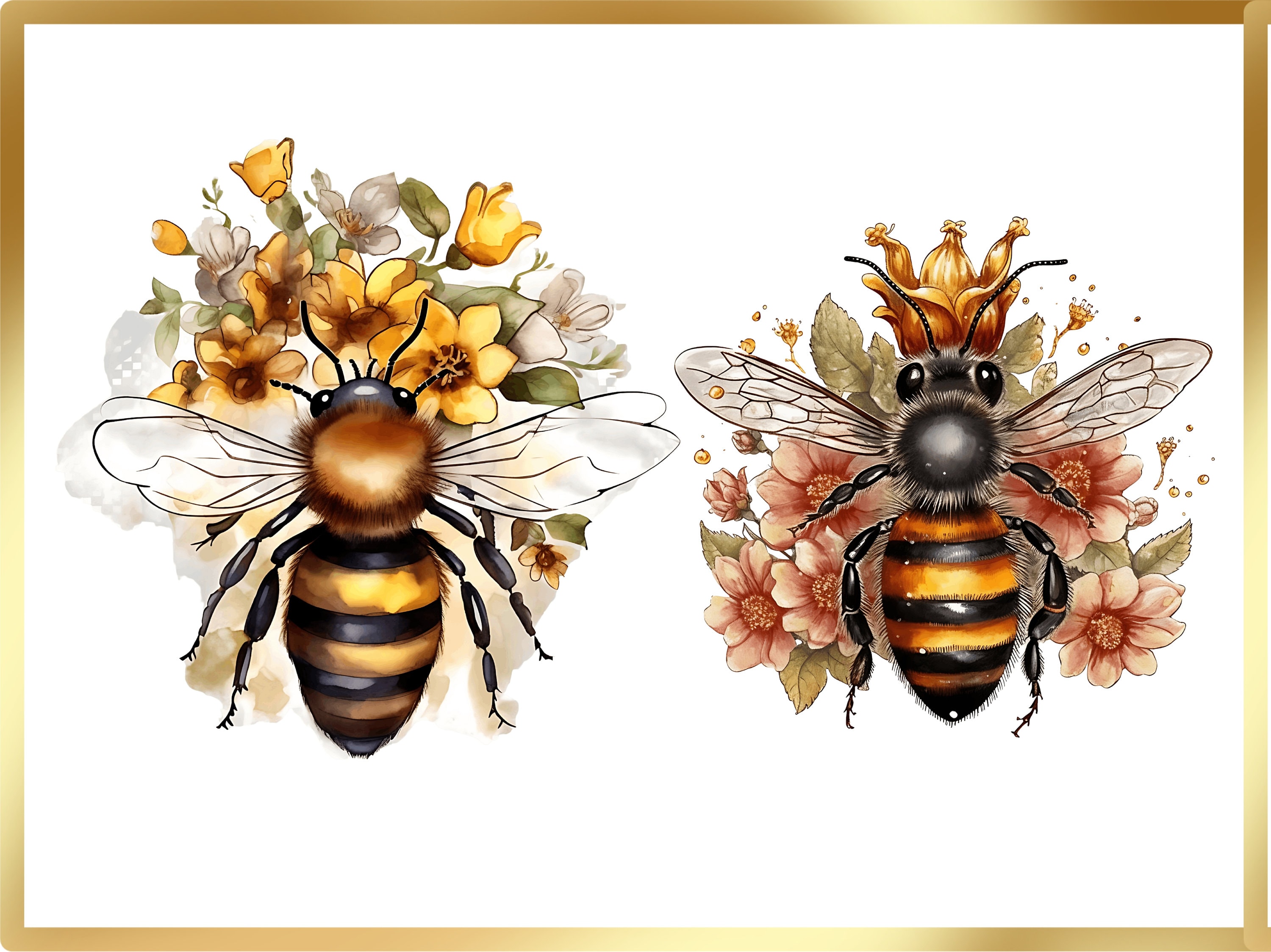 Watercolor Queen Bee Clipart Set 10 High-quality PNG Images - Etsy
