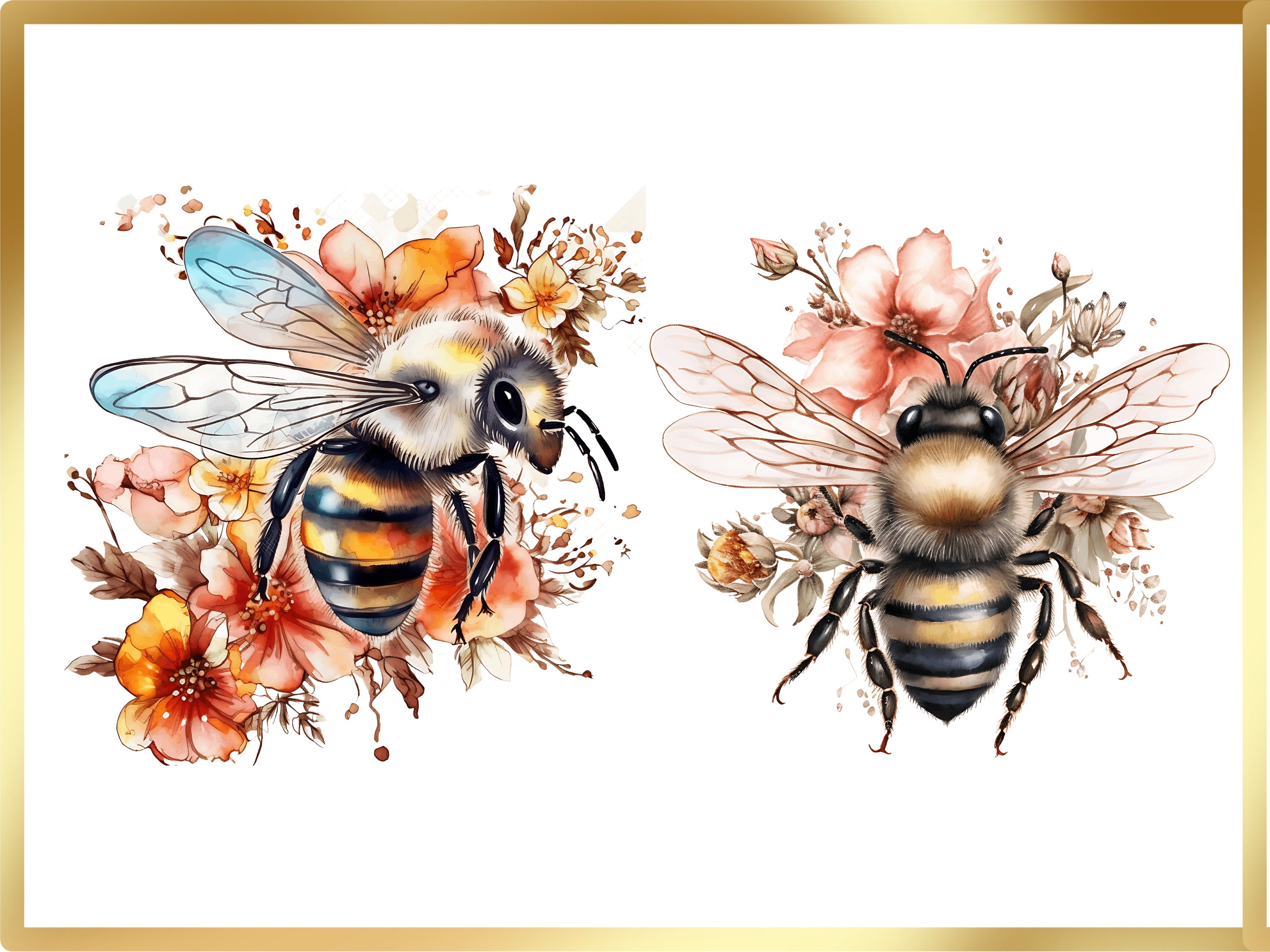 Watercolor Queen Bee Clipart Set 10 High-quality PNG Images - Etsy