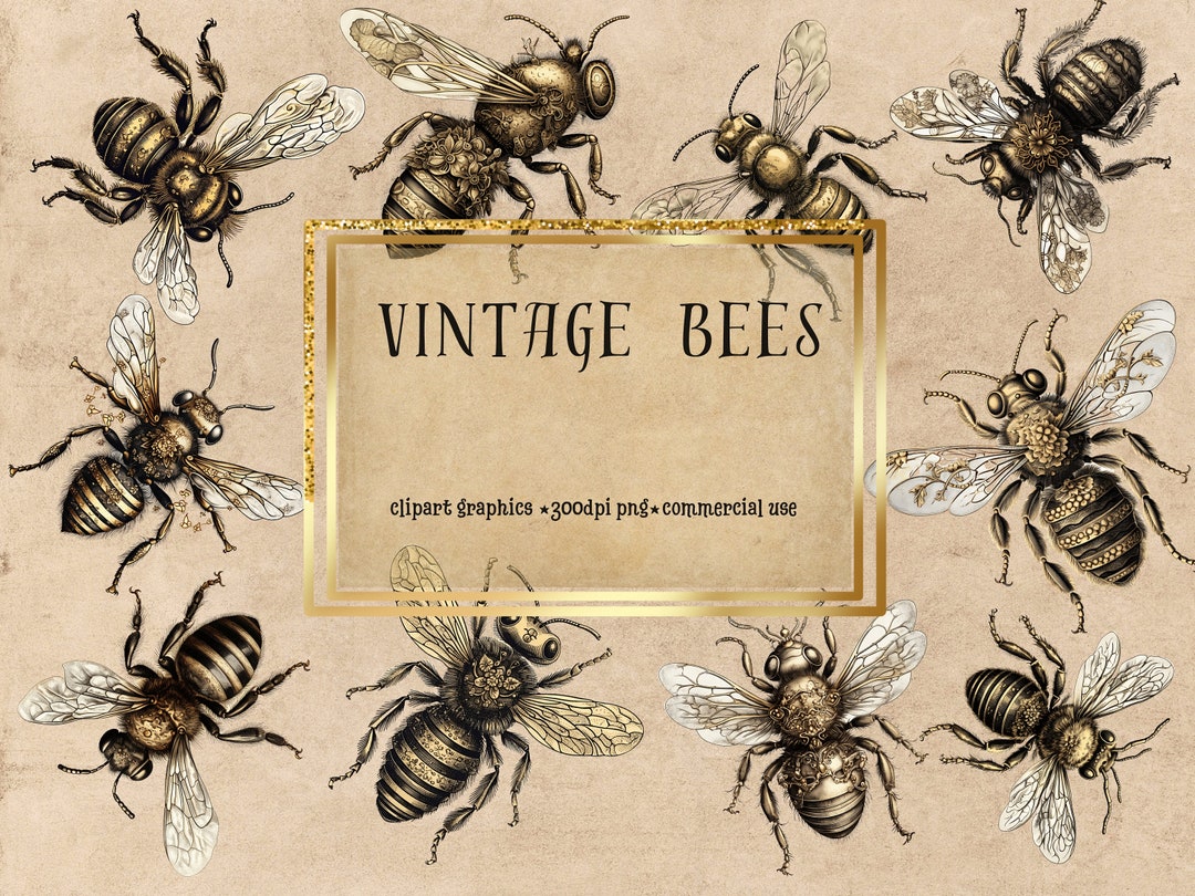 Vintage Golden Bee 10 Clipart Set for Crafting and DIY Projects ...