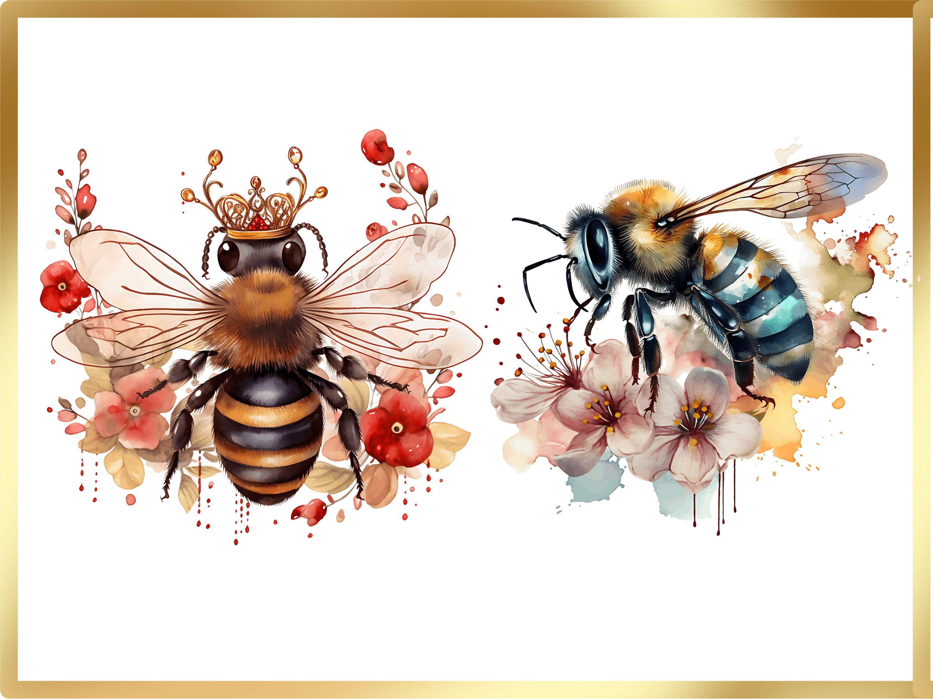 Watercolor Queen Bee Clipart Set 10 High-quality PNG Images - Etsy