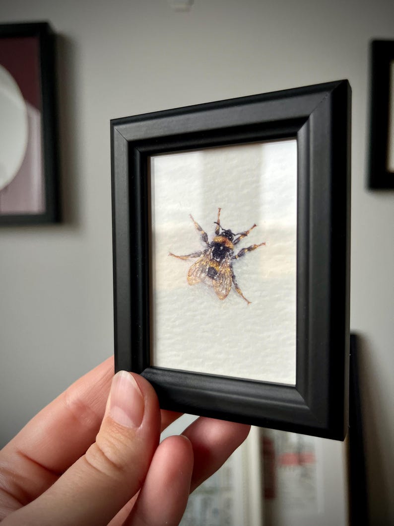 Framed Insect Print Set: Tiny Vintage Style Bug Art for Botanical ...